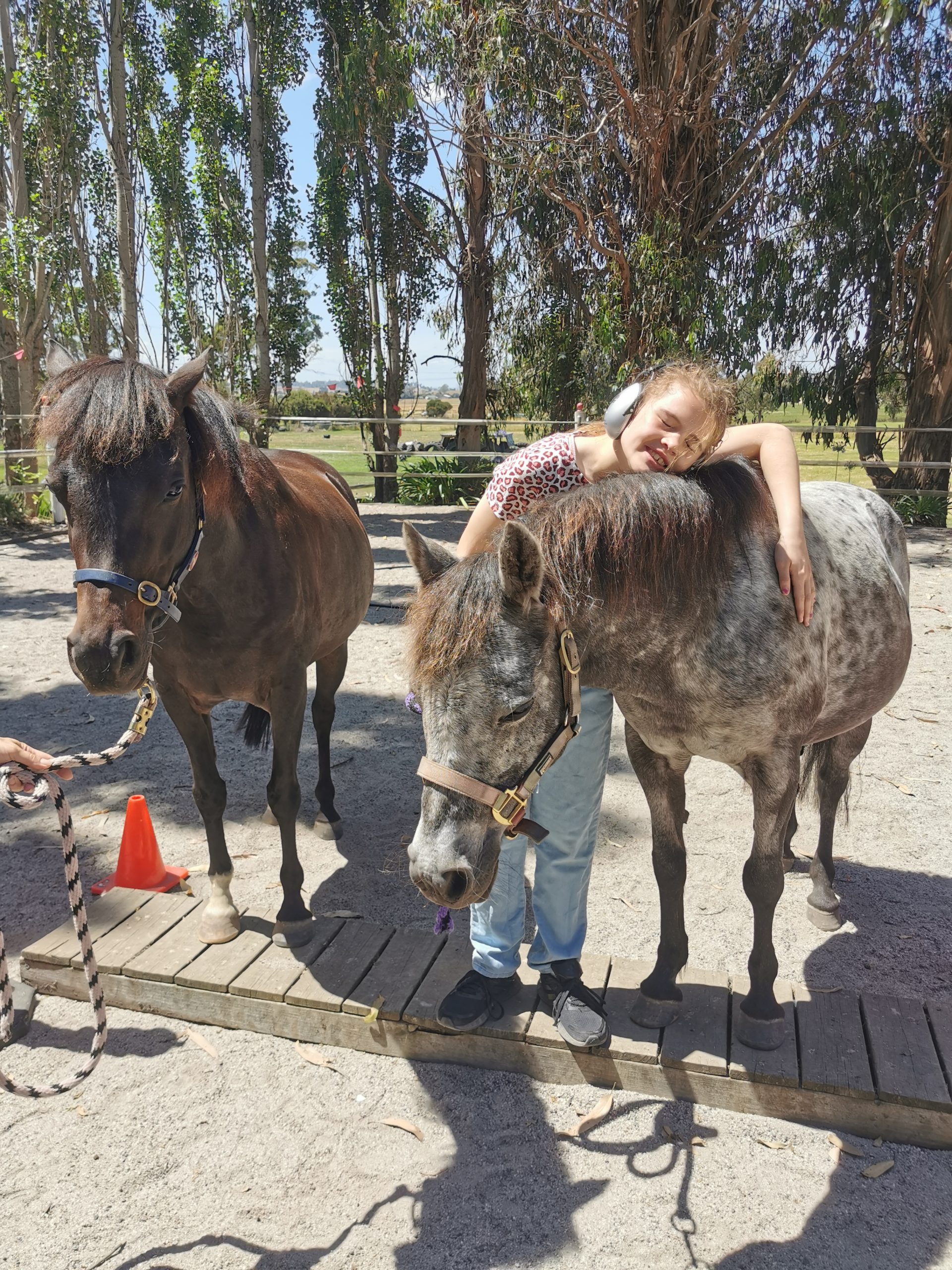 GALLERY - Donovan Park